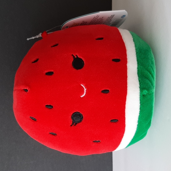 Squishmallows | Other | Squishmallows Watermelon Winsey 5inches Plush ...